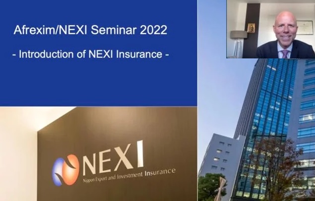 Webinar zur Krisenerholung und Energiewende in Afrika: Hochschule Offenburg