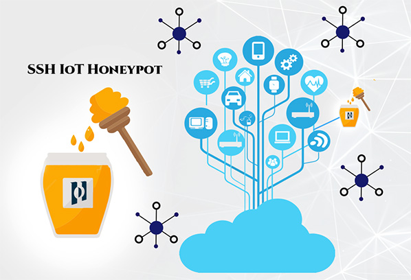 Entwicklung eines SSH IoT Honeypots: Hochschule Offenburg